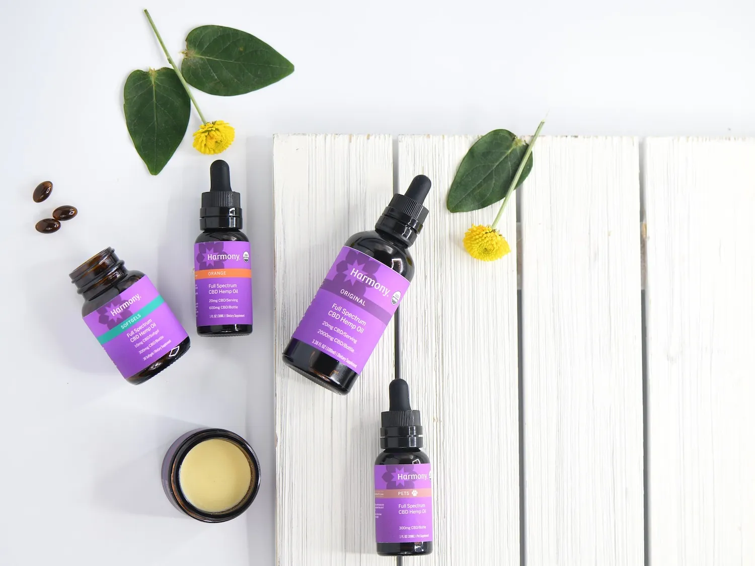 How Harmony CBD Transformed a Life-Threatening Diagnosis | EDGE United ...