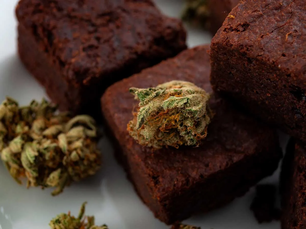 How Do Edibles Affect You? Edibles High Explained | EDGE United States