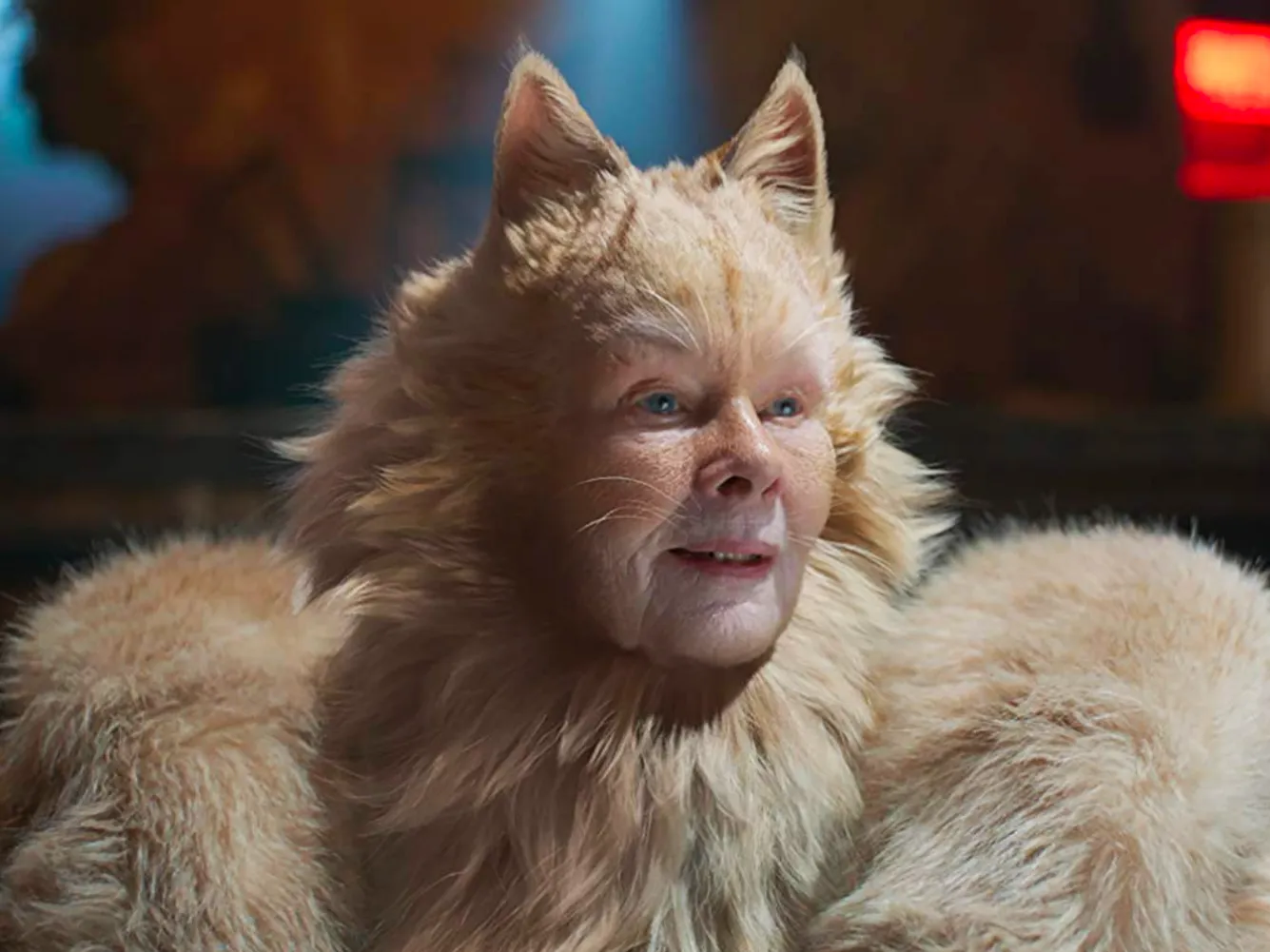 Dame Judith Dench Explains: 'Old Deuteronomy' is A Trans Cat! | EDGE ...