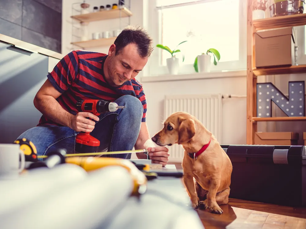 How to Make Over Your Apartment or Home, Then Protect Your Stuff | EDGE ...