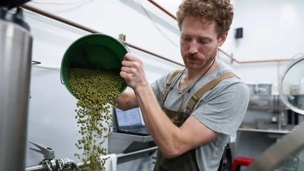 How Researchers, Farmers and Brewers Want to Safeguard Beer against ...